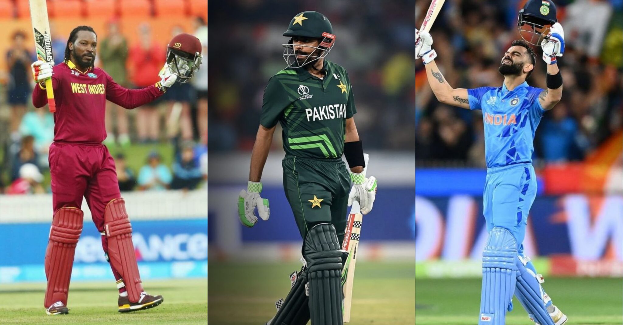 T20 - The Cricket Panda