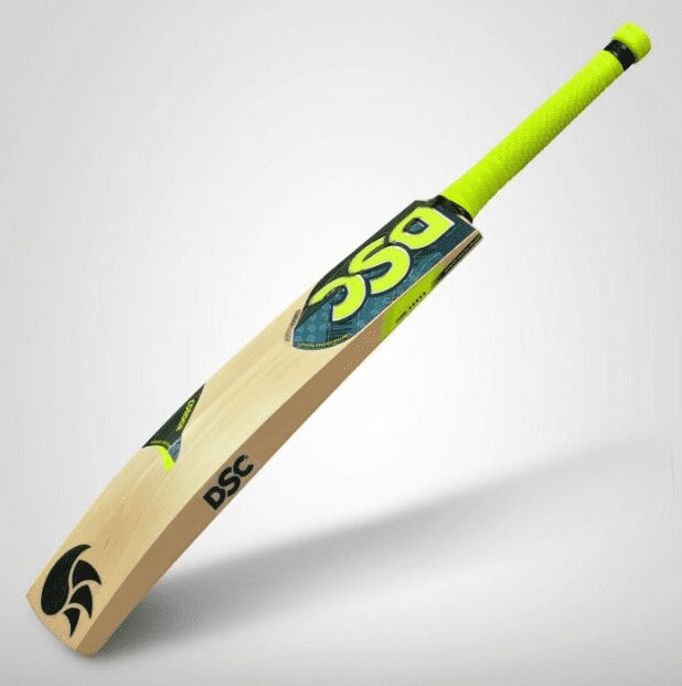 8 Types of Cricket Bats to Choose From (Complete Guide)