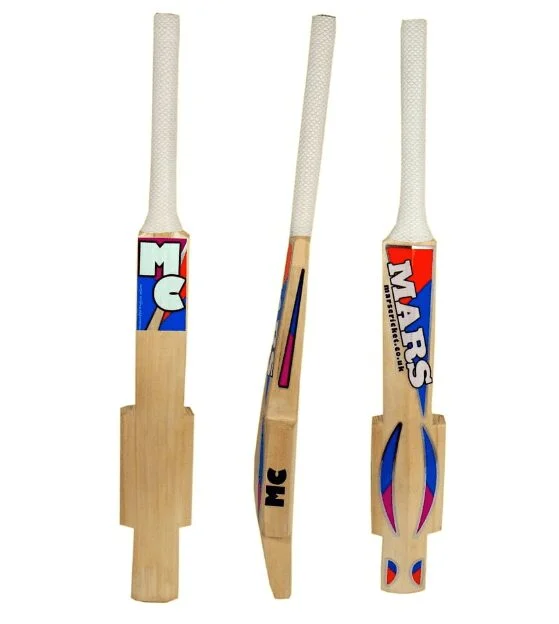 8 Types of Cricket Bats to Choose From (Complete Guide)