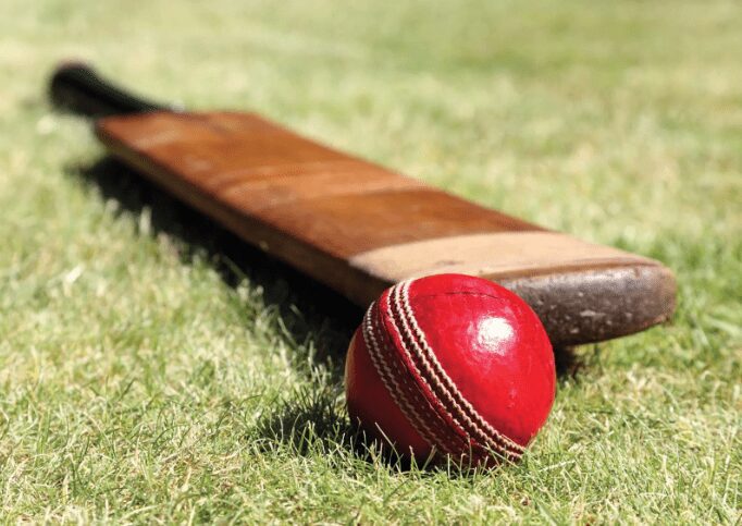 8 Types of Cricket Bats to Choose From (Complete Guide)