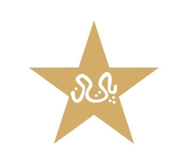 Top 10 Richest Cricket Boards In The World (2026 Rankings)
