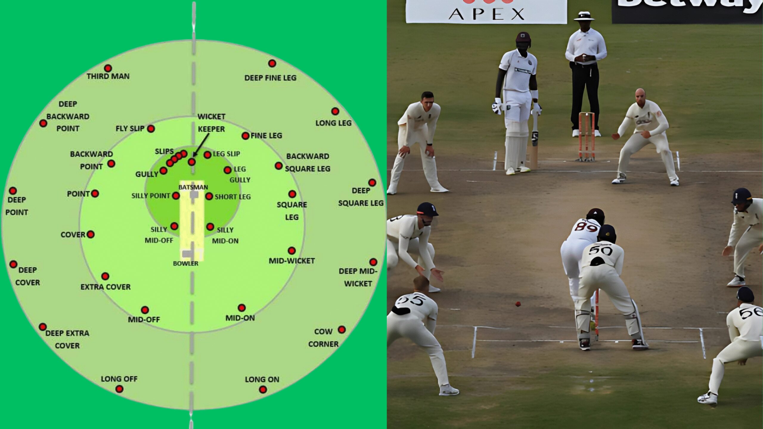 Cricket Fielding Positions - Different Names & Roles Explained
